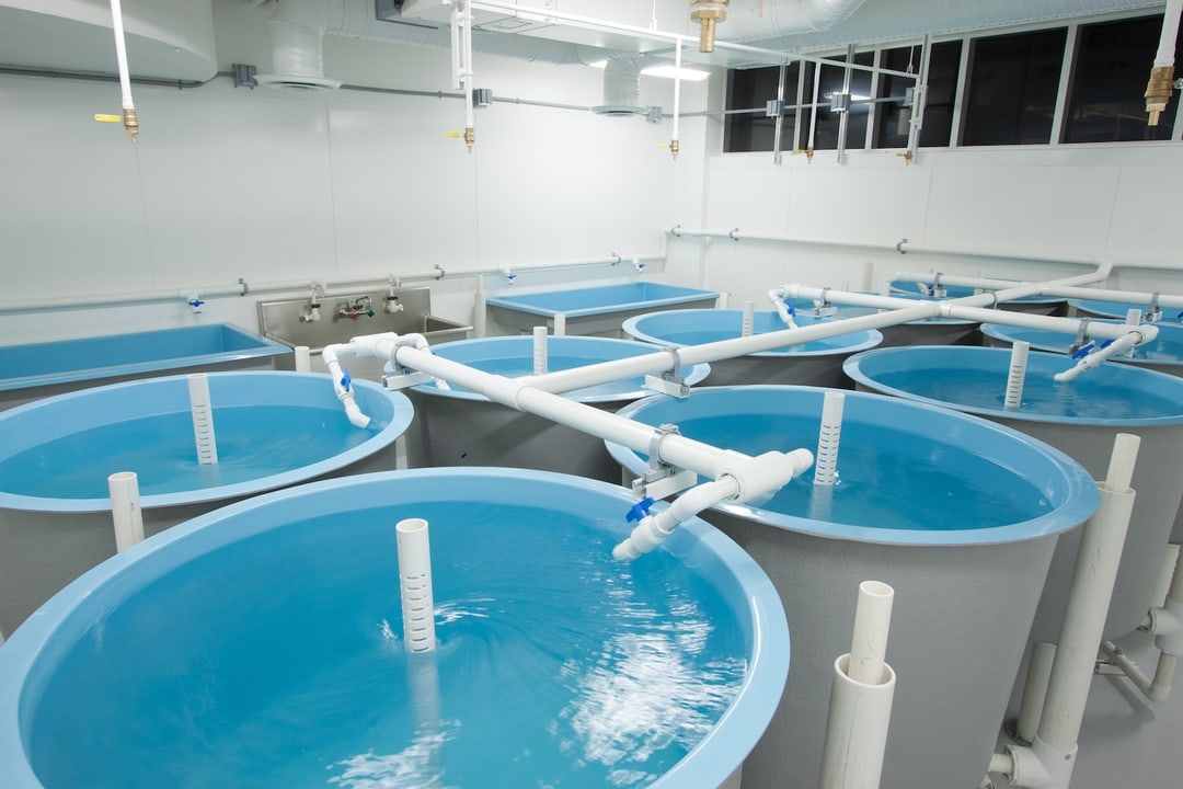 Round Fiberglass Tanks | IAS, Inc.