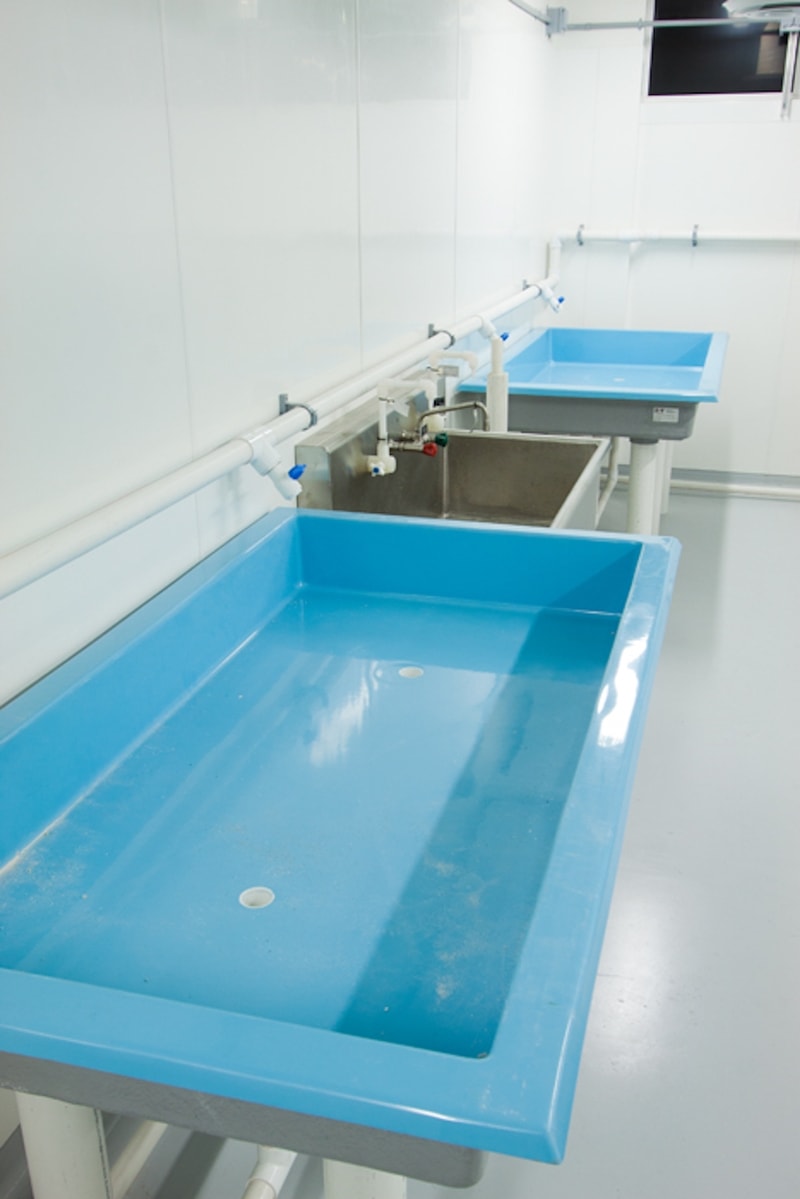 Fiberglass Trays | IAS, Inc.