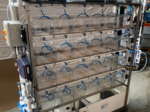 Polycarbonate ICM Tanks | IAS, Inc.