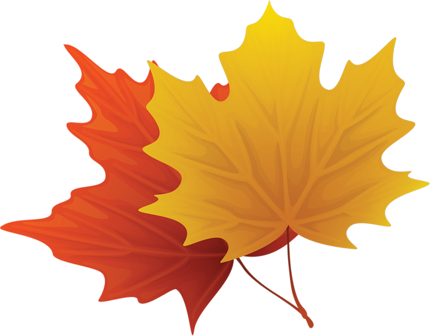 Fall Activities fall-activities