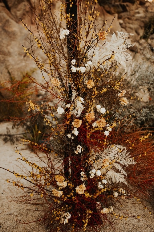 Foxtail Florals :: About