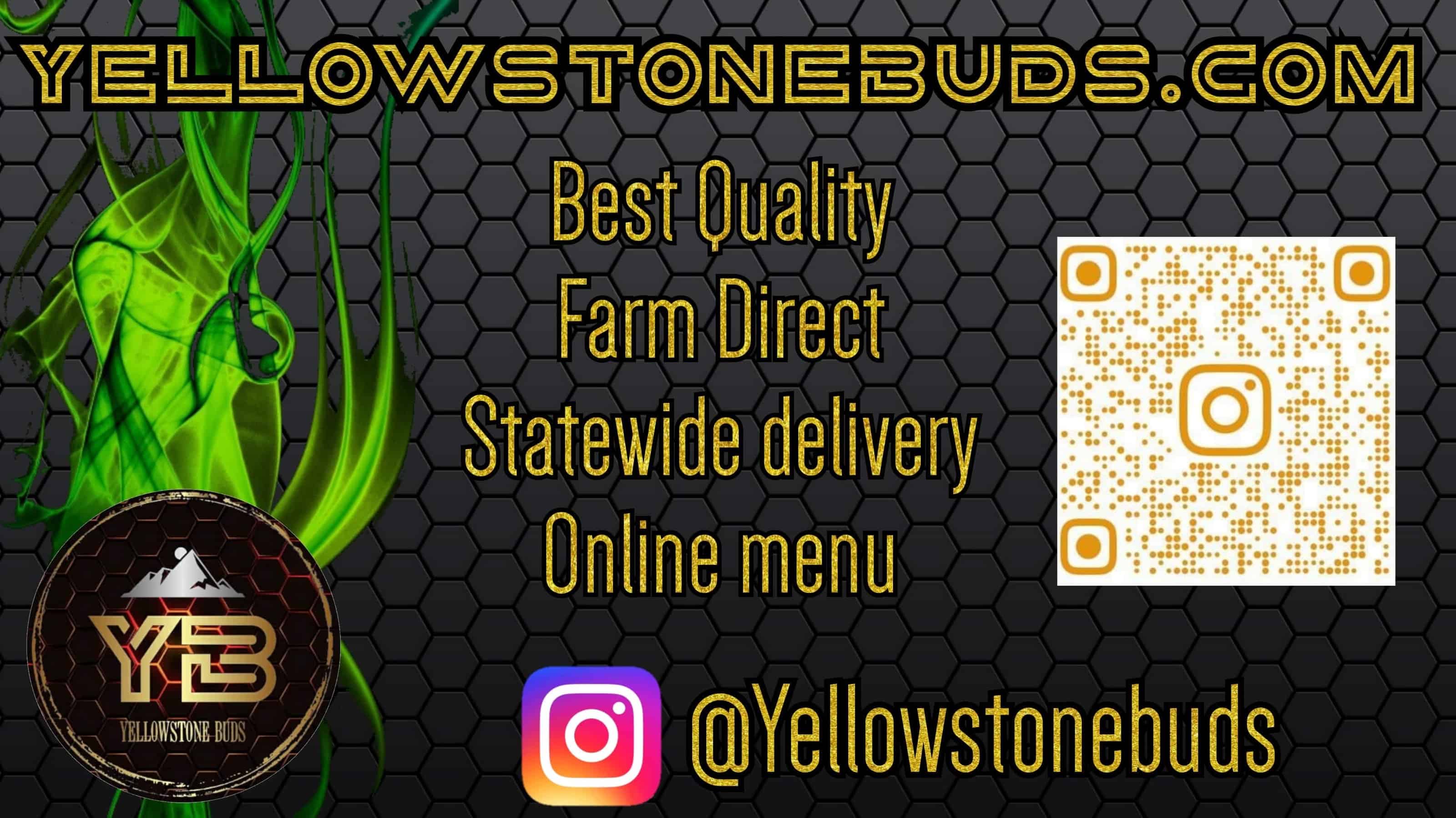 Welcome to Yellowstone Buds