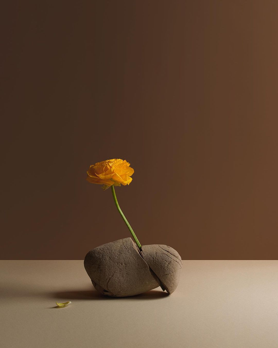 Inspiring Creator Series: Erica Ferraroni