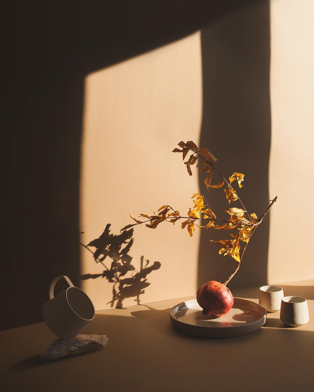 Inspiring Creator Series: Erica Ferraroni