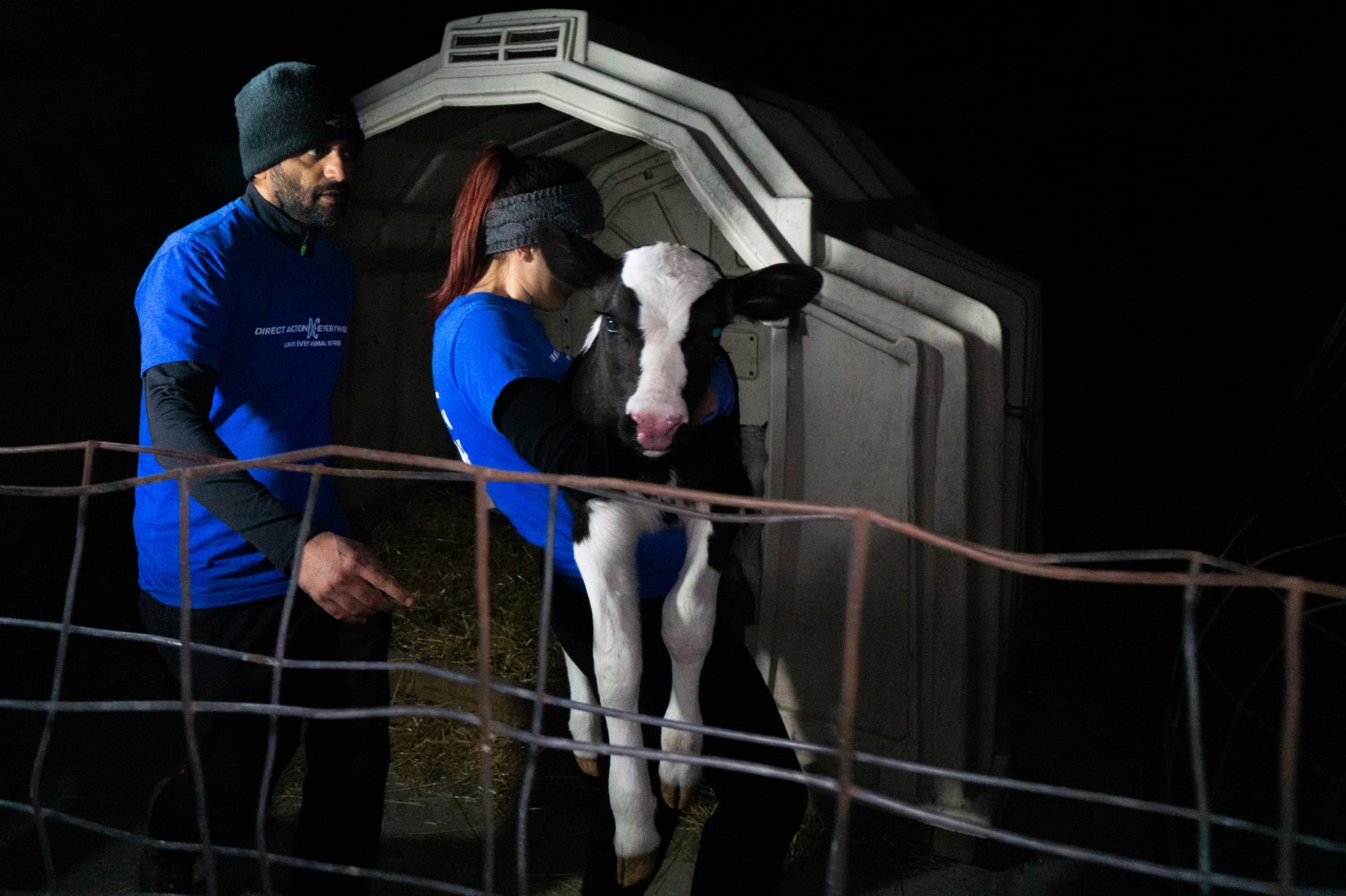 Donate - Direct Action Everywhere