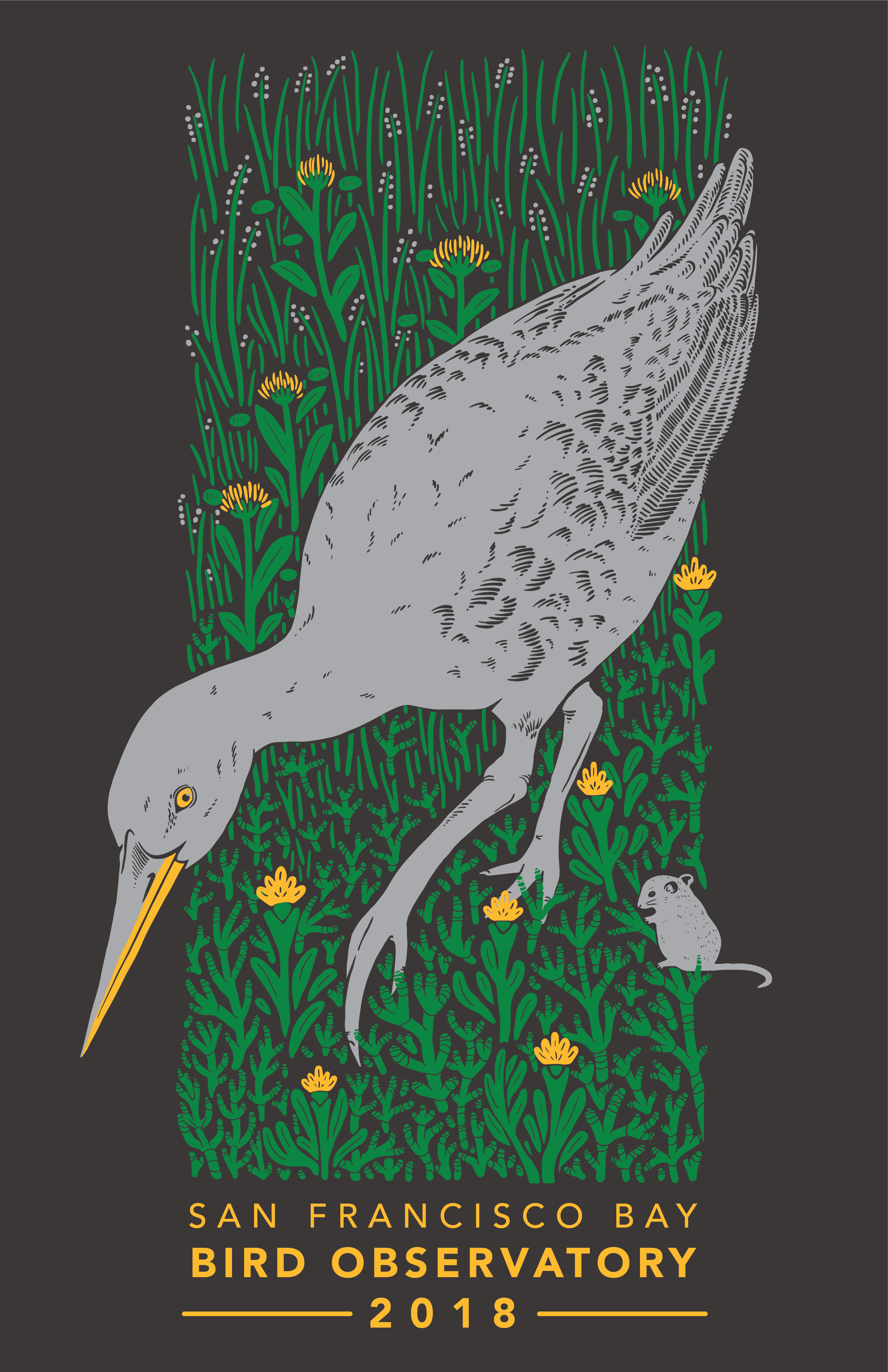 Julie Ho Sung | Science Illustration Portfolio