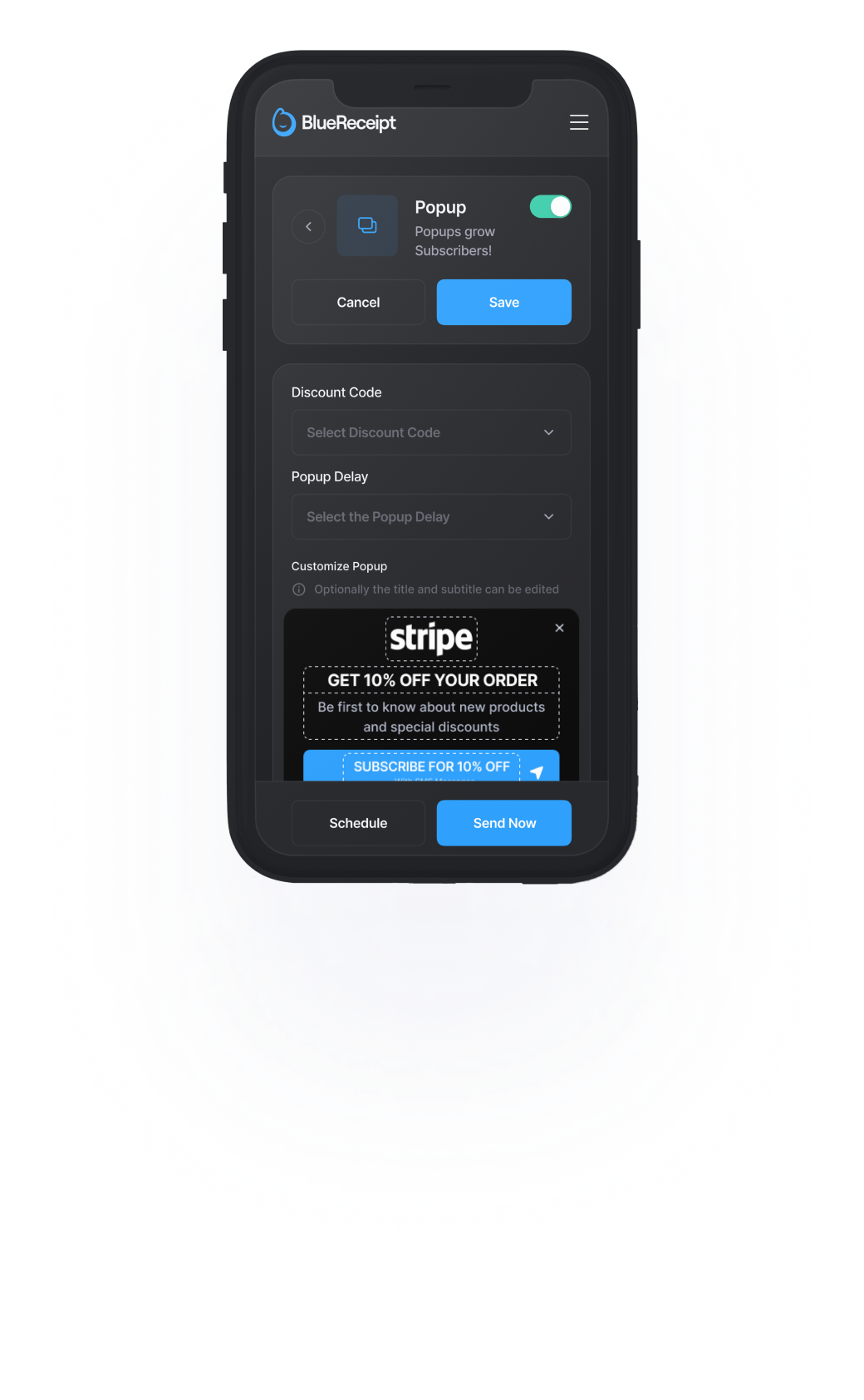 BlueReceipt - Text Message Marketing for Shopify