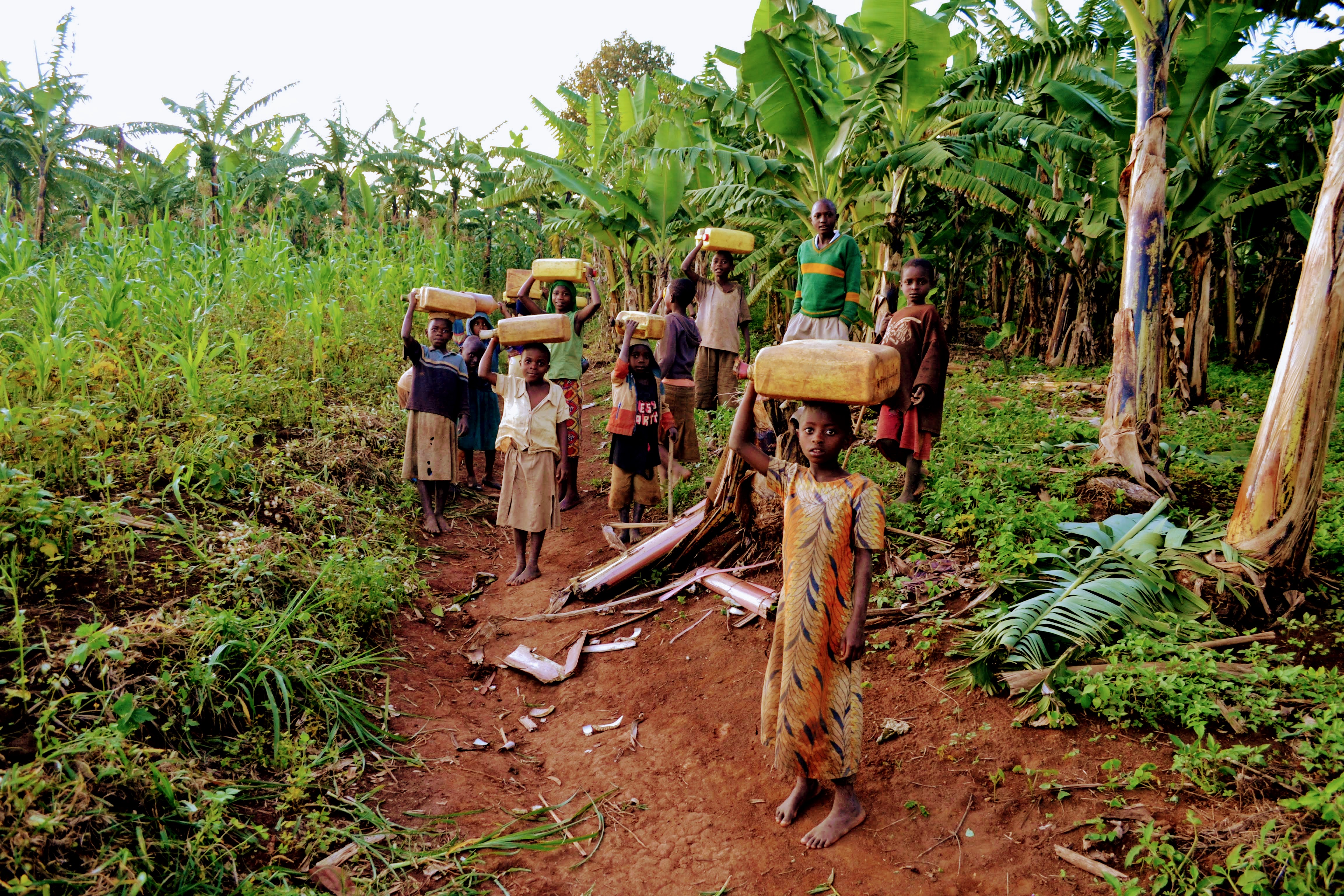 Clean Water Supply, Rwanda