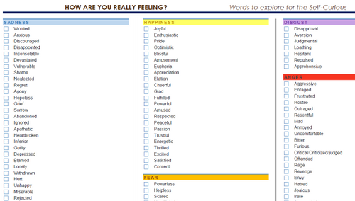 Alumni Forum Services | Resources | Emotions thesaurus - How are you ...
