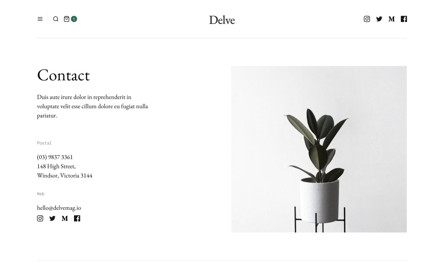 Justin Hackett - Online Magazine and E-Commerce Store