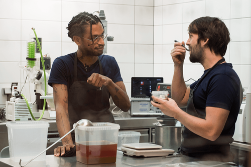 The Noma Guide To Fermentation Review | The Cooking World