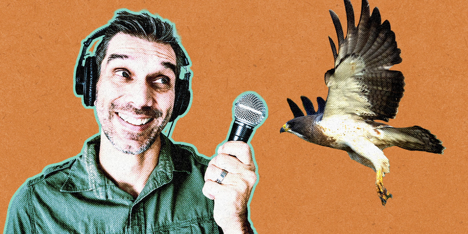 Migration in Birds - Podcast Episode