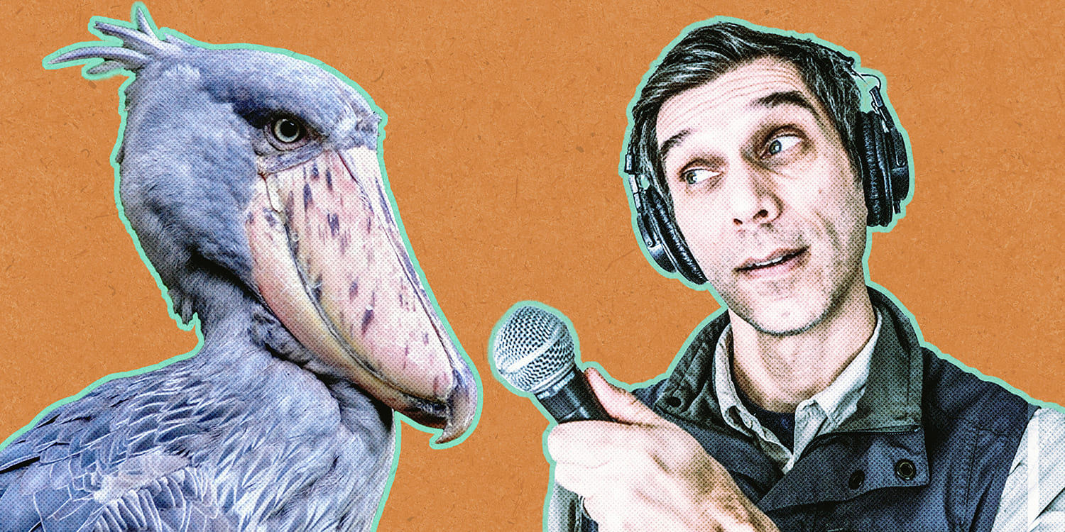 The Shoebill - Podcast Episode