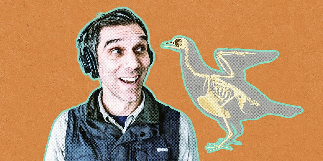 Bird Bones: The Avian Skeleton - Podcast Episode