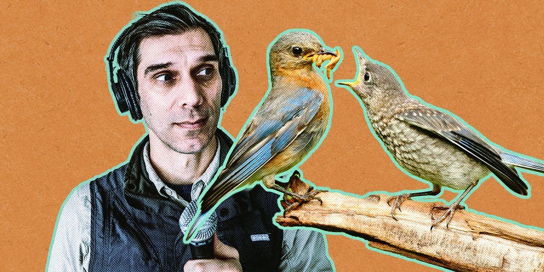 Podcast Episodes - The Science of Birds
