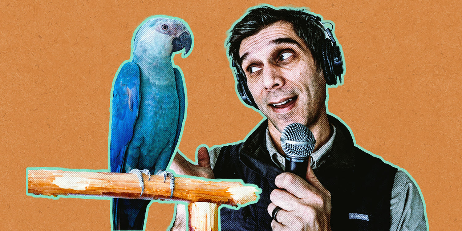 Conservation - Podcast Episdoes - The Science of Birds