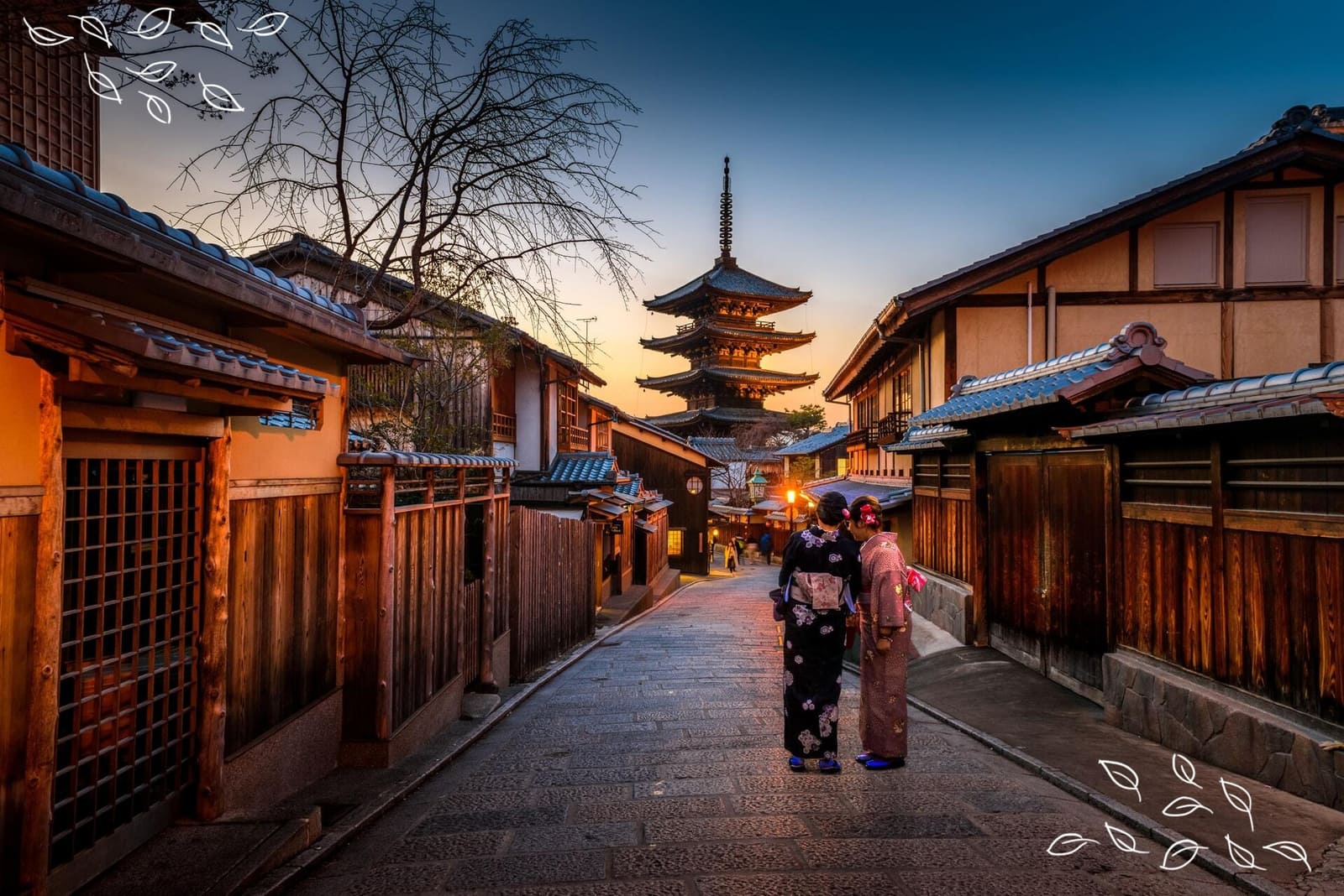 Discover Japan by Sunrise Express Sleeper Train — Skratch