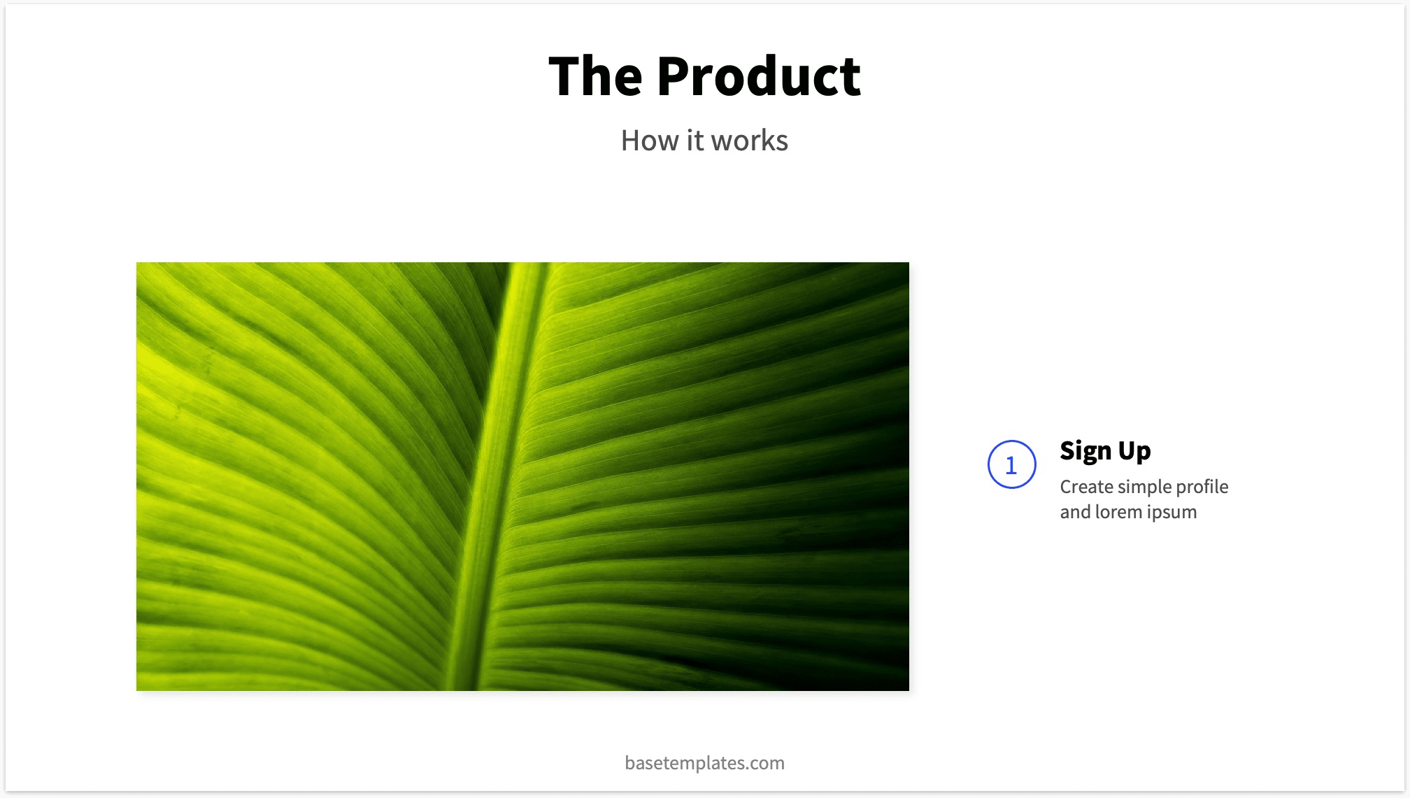 Product Slide | Pitch Deck Template Viewer BaseTemplates