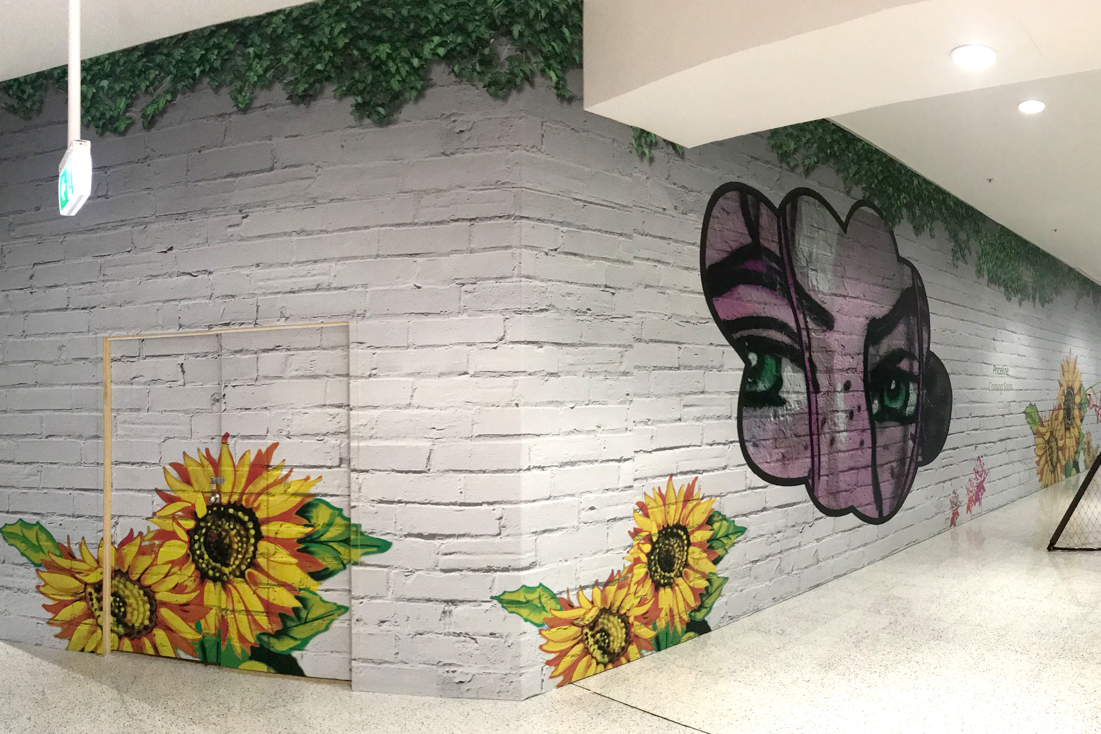 Wall Graphics | Visual Imaging Cairns