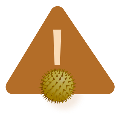 Pollen API For The World - Track, Forecast And Avoid Seasonal Allergies ...