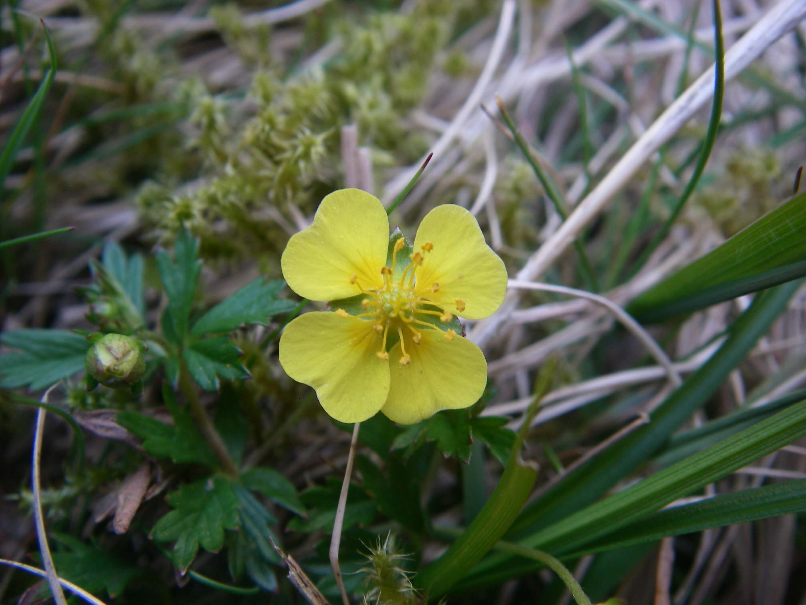 What are Nature Walks and why should I care?