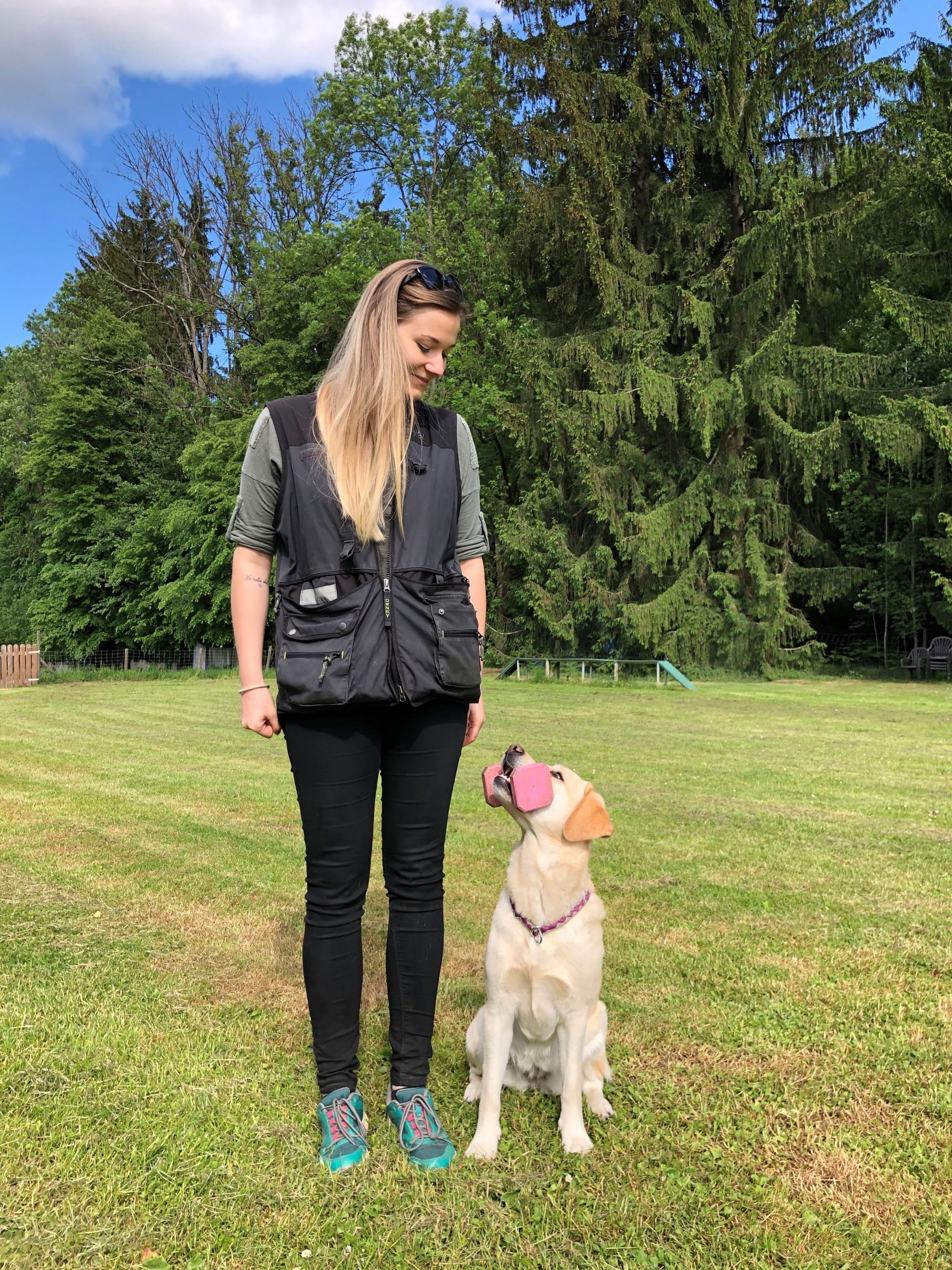 Hundeschule-Kainbach