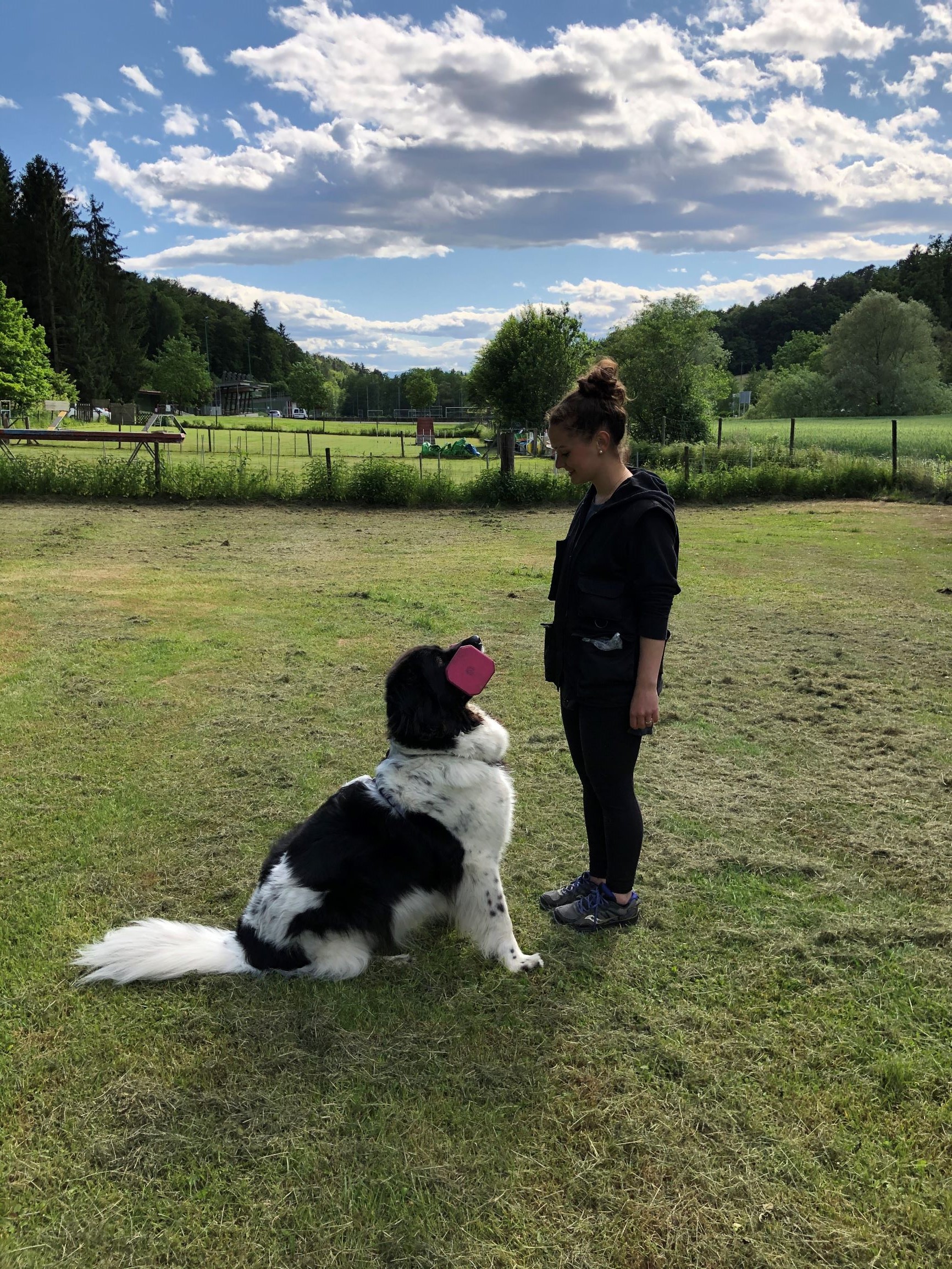 Hundeschule-Kainbach