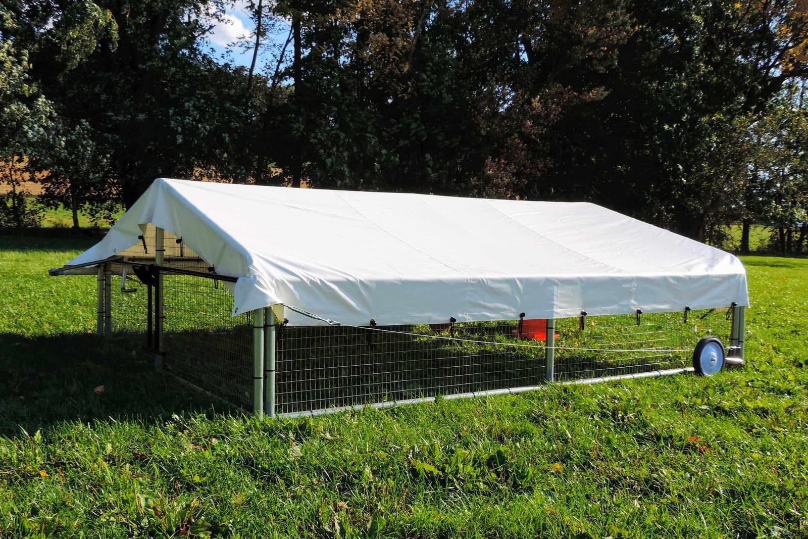 Chicken Coop - 12x12 ' | Chicken Ranger