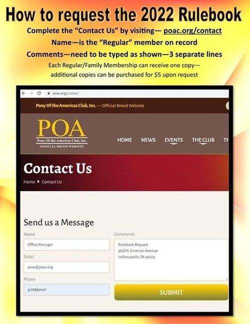 Pony of the Americas Club, Inc. | Official Breed Website