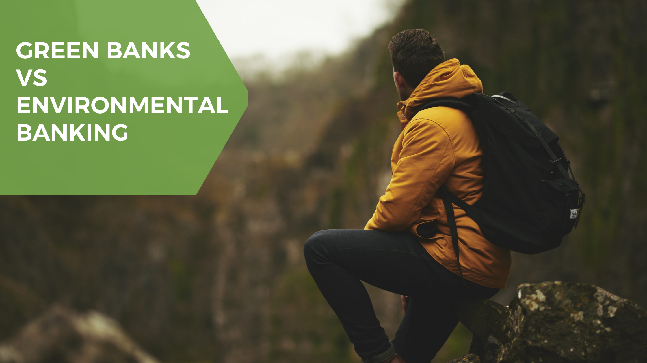 Green Banks VS Environmental Banking
