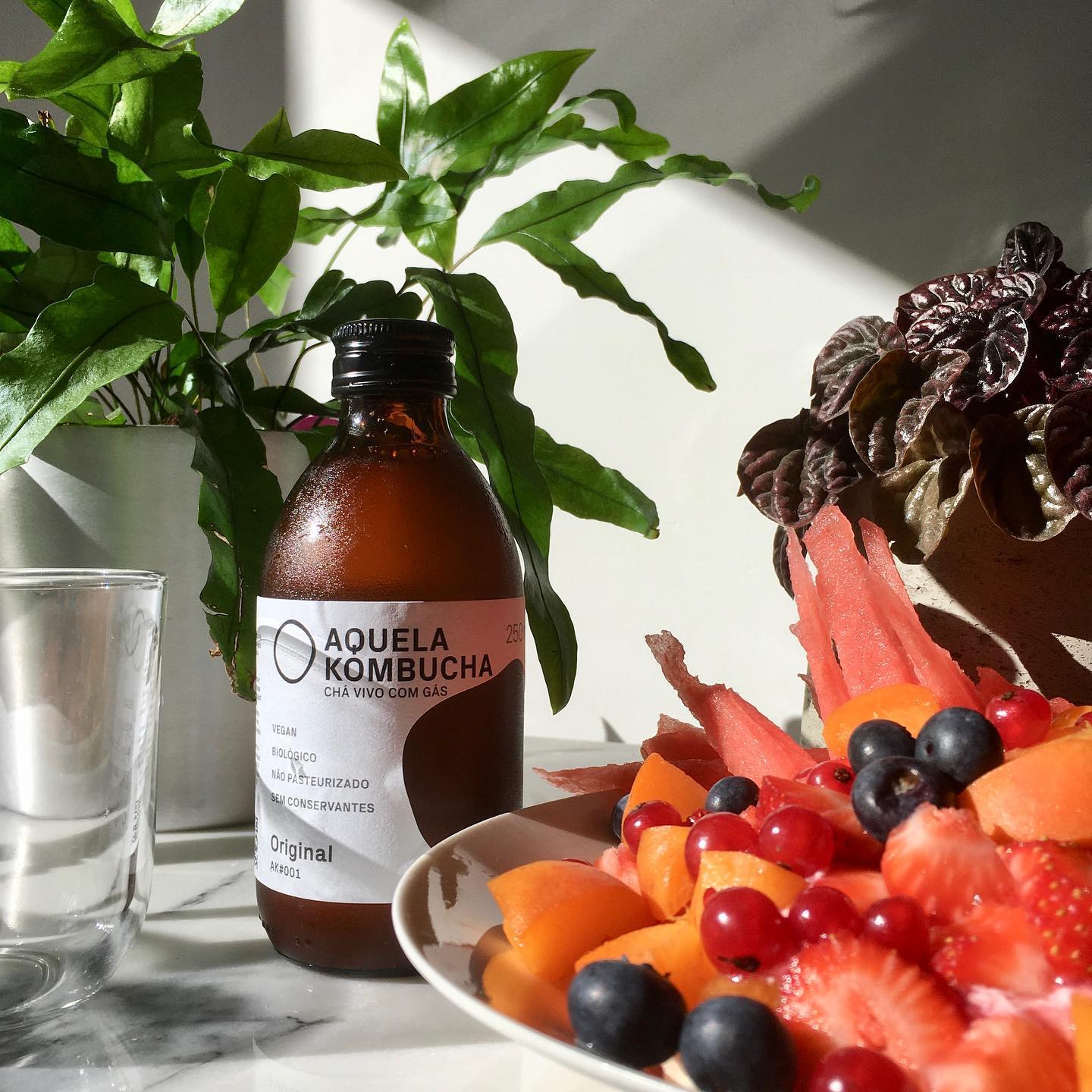 Aquela Kombucha
