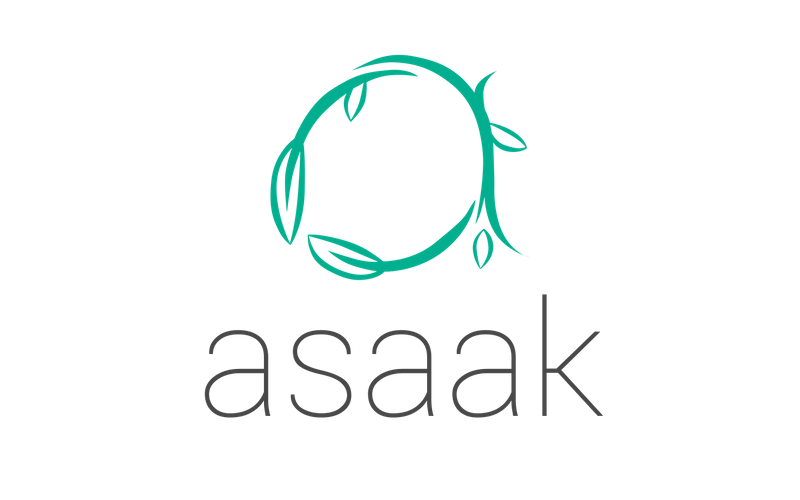 Asaak is a startup from FFA's fintech portfolio