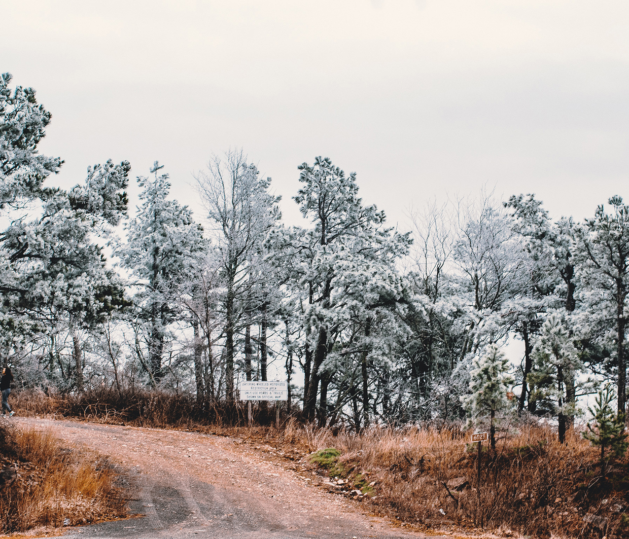 So stärkst du dein Immunsystem