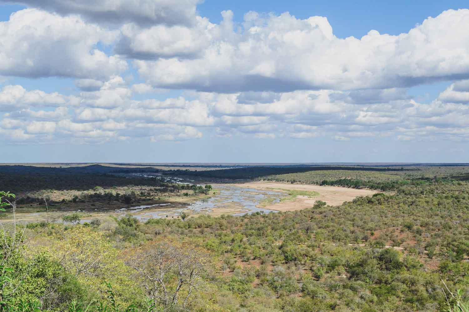 Isambane Safaris - game drives