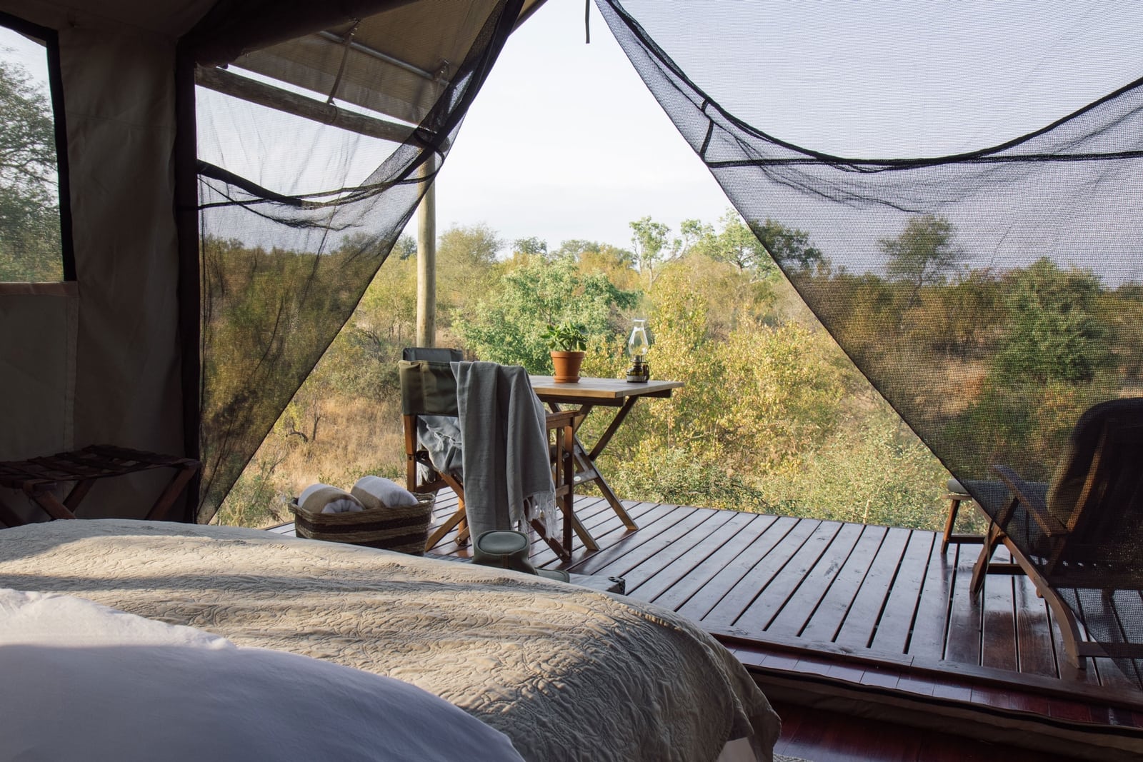 Isambane Camp - Luxury Safari Tent