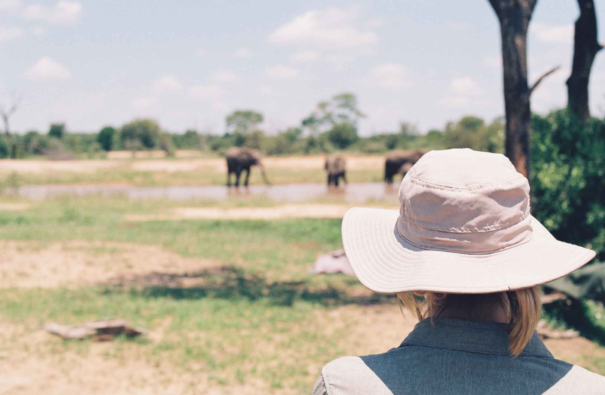 Isambane Safaris - game drives