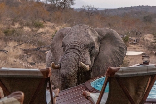 Experience Isambane - Eco Bush Camp