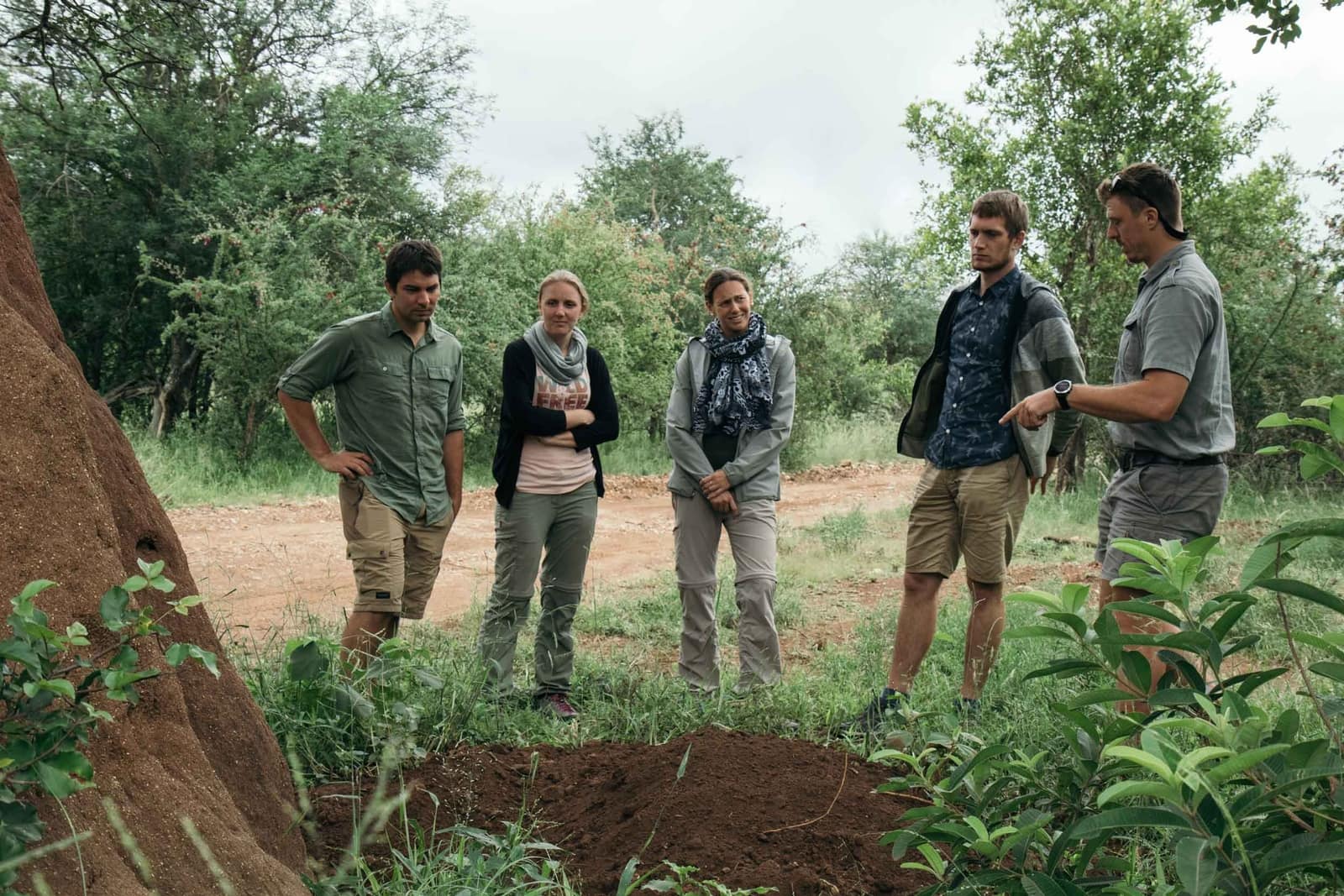 Isambane Camp - More than a "Big 5" safari experience