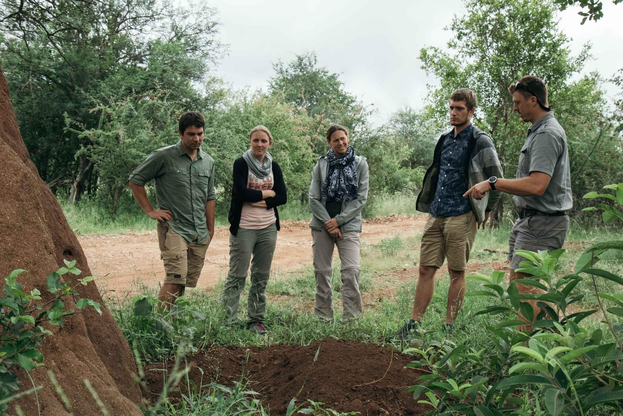 Isambane Camp - More than a "Big 5" safari experience