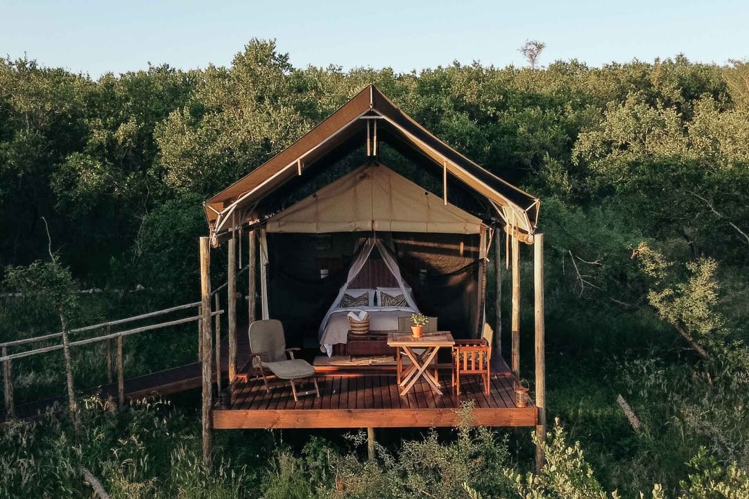 Isambane Blogs - 5 Reasons To Visit Isambane Camp