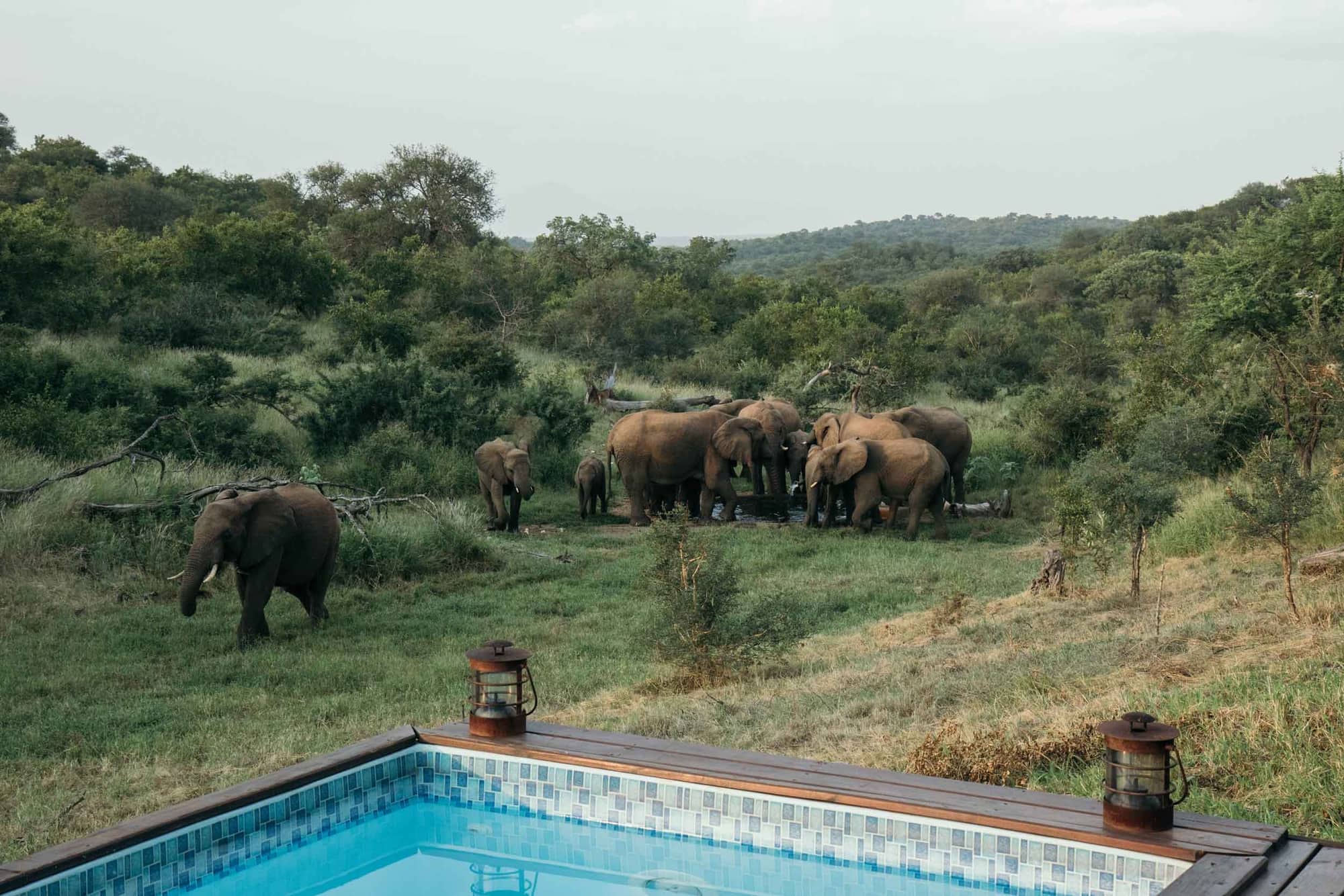 Experience Isambane - Eco Bush Camp