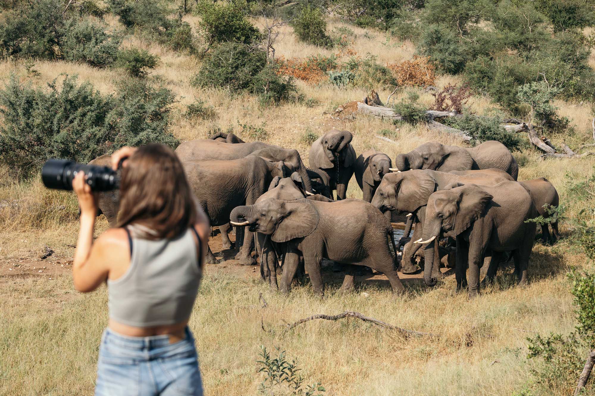 Isambane Blogs - When is best to travel