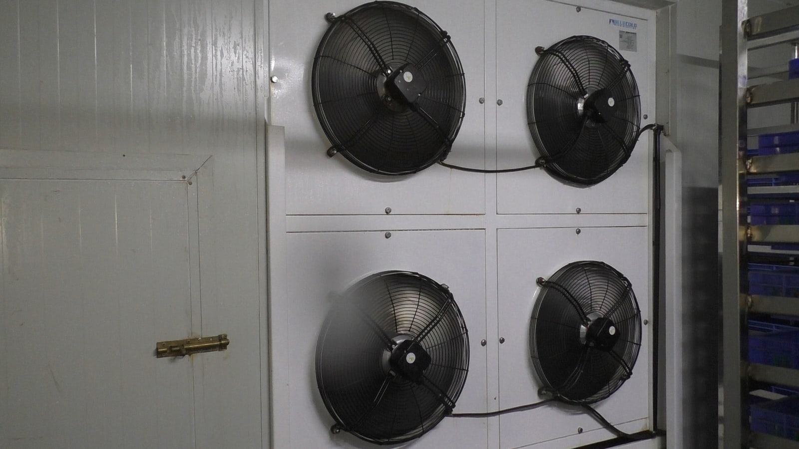 Meat and Chicken - Freezer Room and Blast Freezer