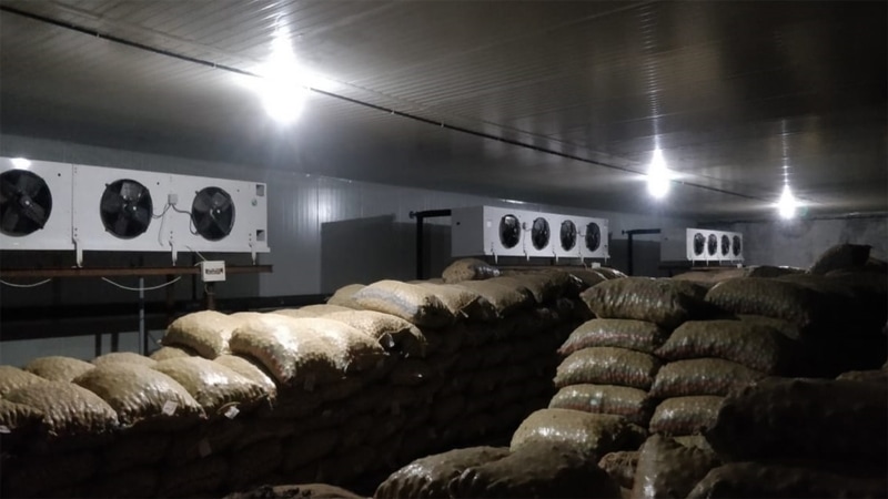 Potato cold storage unit