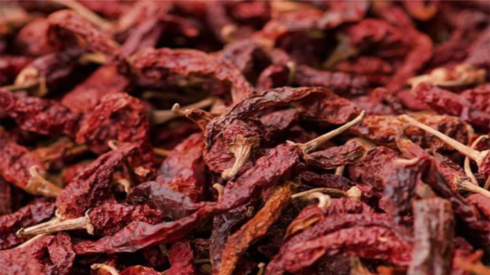 Manufacturer - Cold Room, Cold Storage, Blast Freezer, Walk in Freezer ...