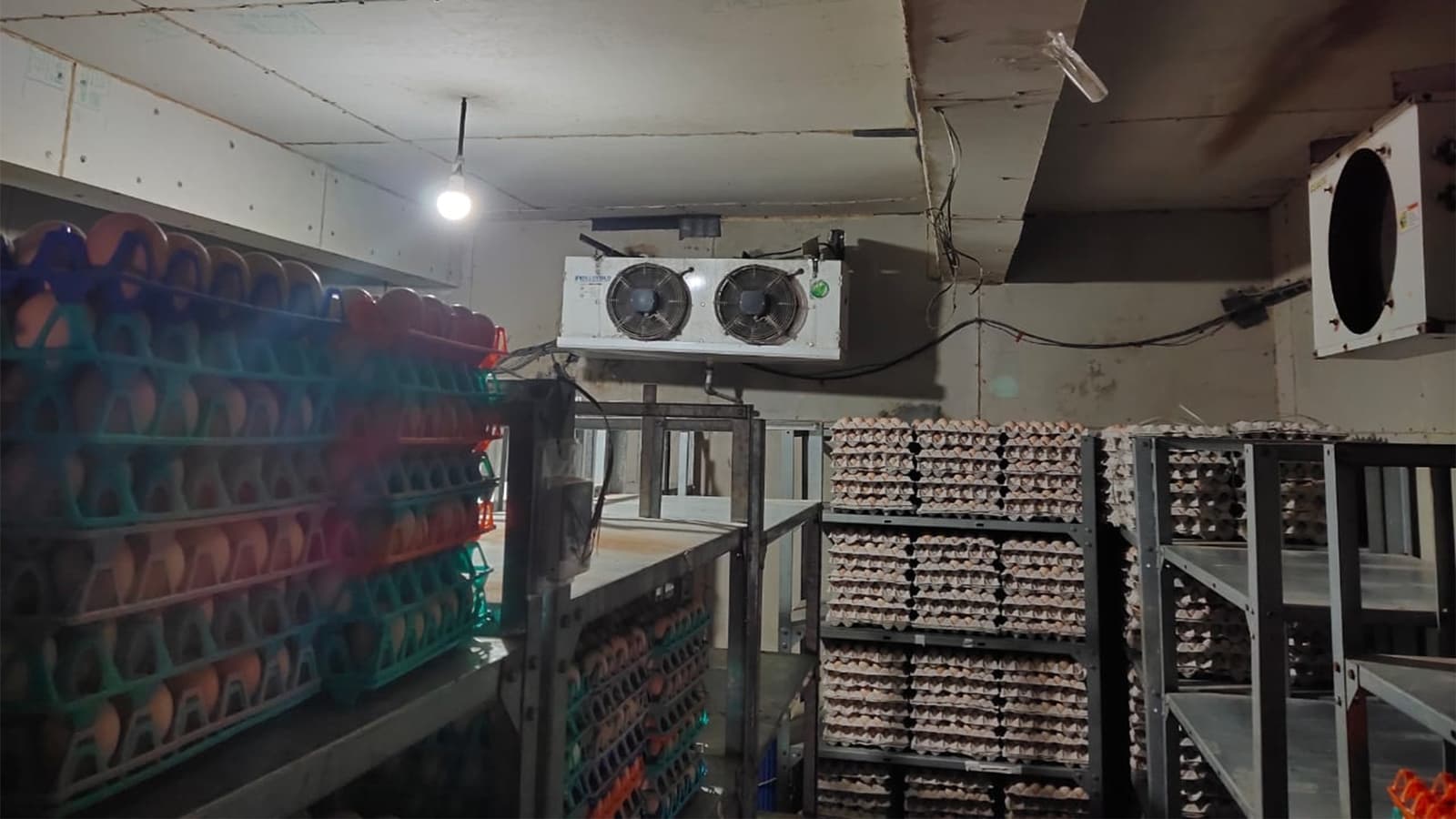Egg Cold Storage System