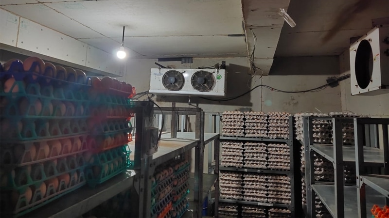 Egg Cold Storage System