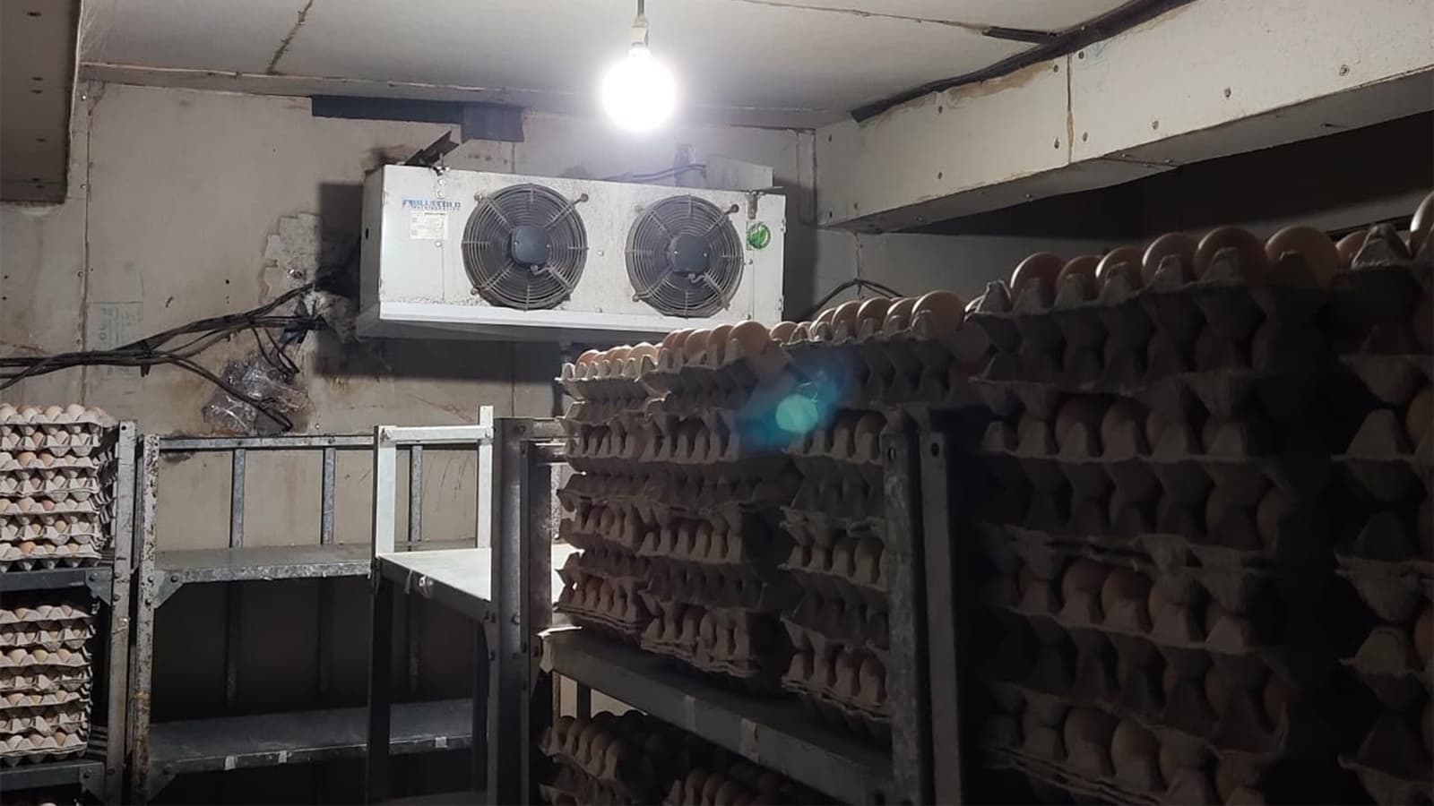 Egg Cold Storage System