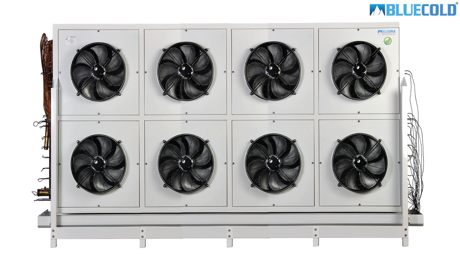 Blast Freezer and chiller for sea food, curd and meat