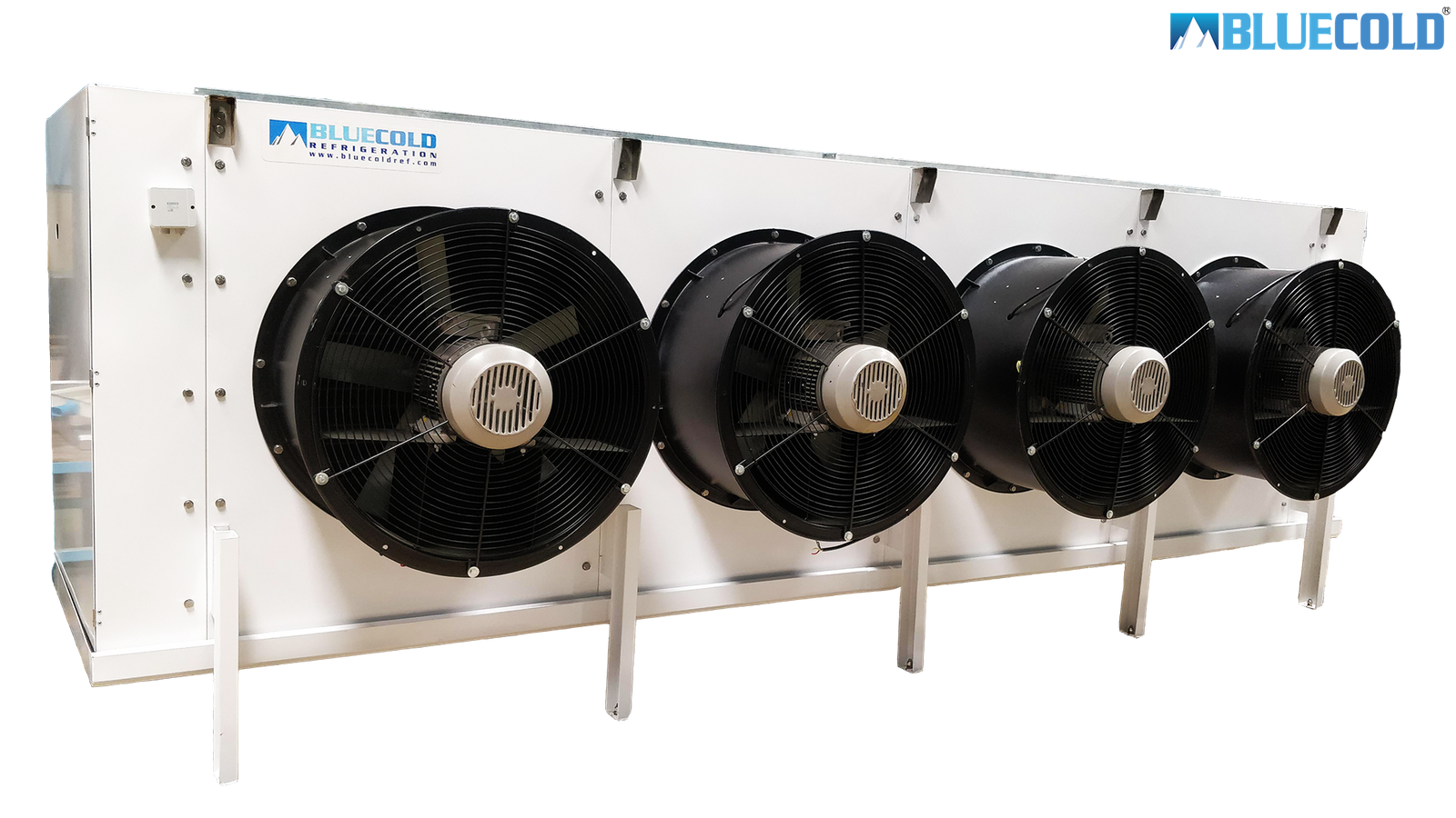 Blast Freezer and chiller for sea food, curd and meat